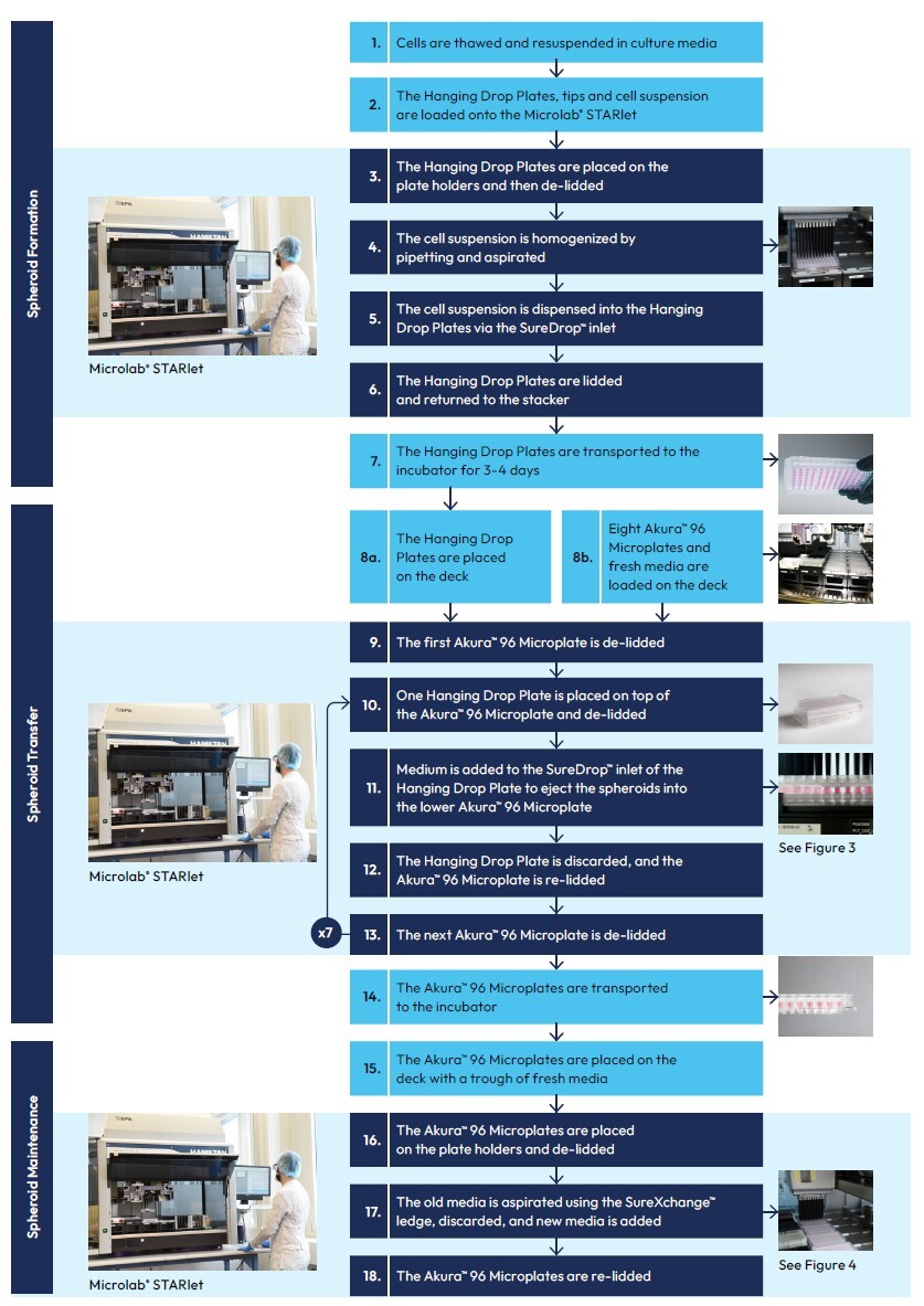 Hamilton Robotics | InSphero Production Case Study